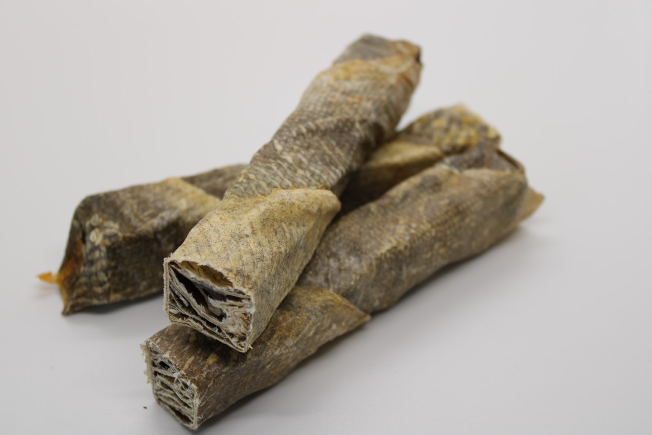 Fish log – Real Pet Grub – Sheffield